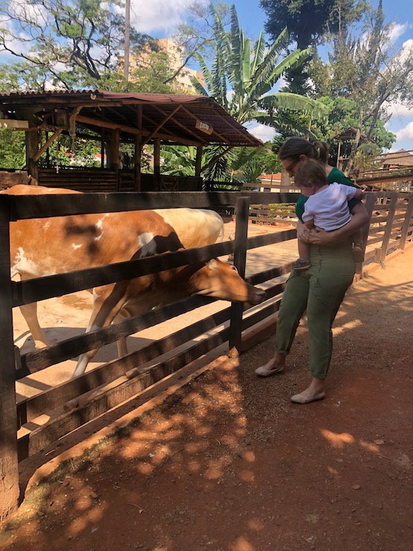 10 lugares para passear com bebê em São Paulo - Vestida de Mãe