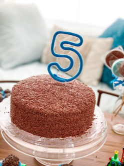 Festa Em Casa Na Quarentena Vestida De Mãe